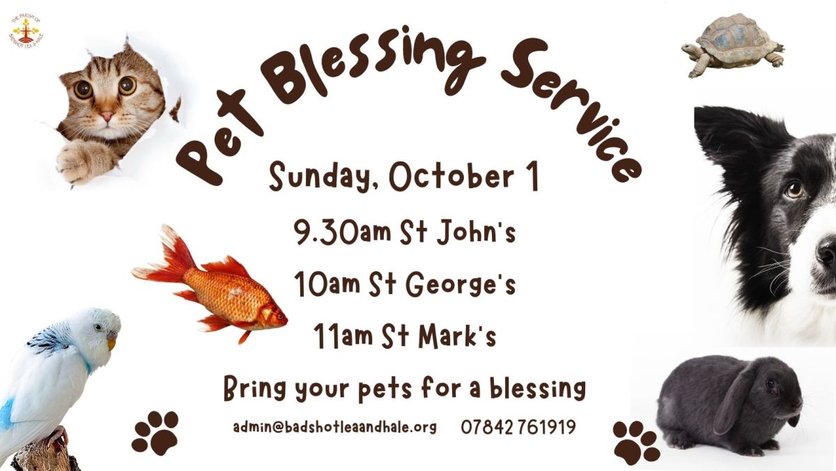 Bring your pets to church! | The Parish of Badshot Lea and Hale